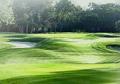 Golf Tournaments By City: Houston