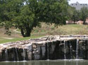 Golf Tournaments By City: Dallas Fort Worth