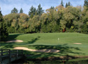 Oregon Amateur Golf Tournaments