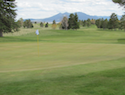 Nevada Amateur Golf Tournaments